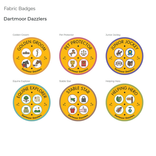 Pony Stars Cloth Badge Set – The British Horse Society Shop